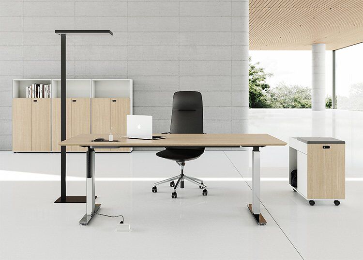 Top Office Furniture Trends for 2025: Future Workspace Designs